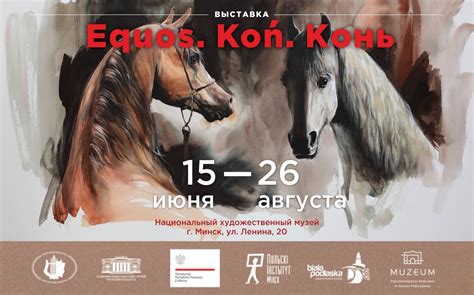 Equos. Koń. Конь