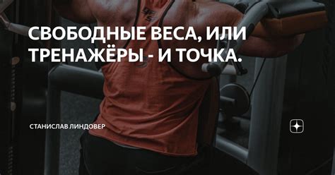 СВОБОДНЫЕ ВЕСА ИЛИ ТРЕНАЖЁРЫ И ТОЧКА Станислав Линдовер Дзен
