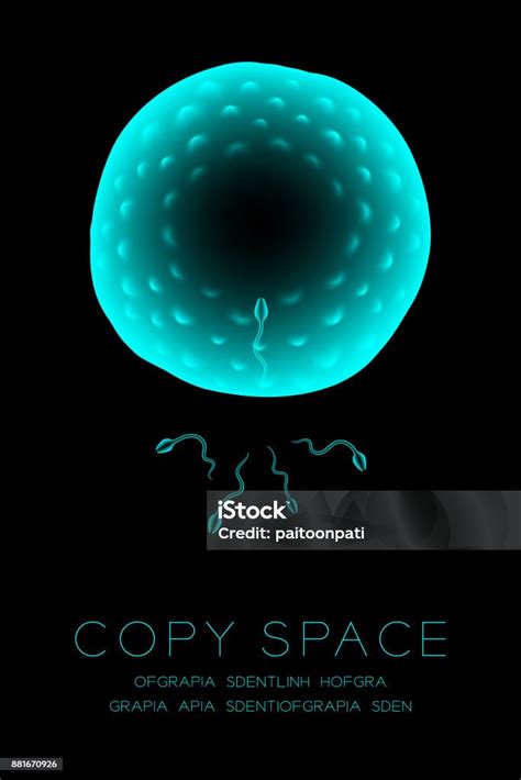 현미경 X 선 수정 수직 집합을 닫습니다 그리고 정자 및 난 자 블루 컬러 그림 고립 된 발광 어두운 배경에 복사 공간에 0명에 대한 스톡 벡터 아트 및 기타 이미지