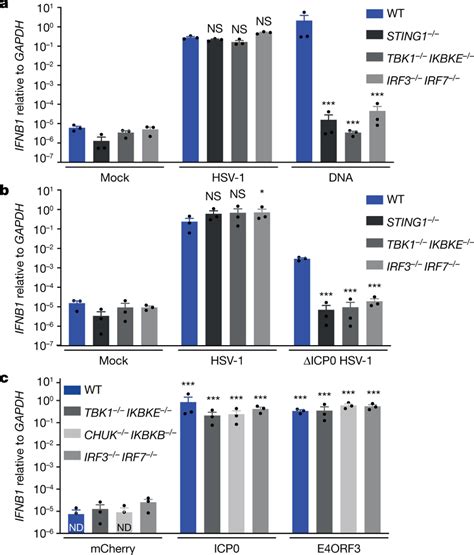 Virulence Factor Triggered Immune Sensing A B Ifnb1 Expression In