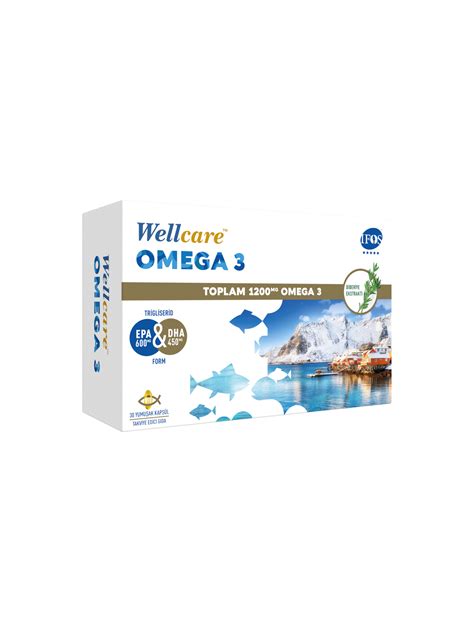 Omega 3 Balık Yağı Kapsül Wellcare Türkiye