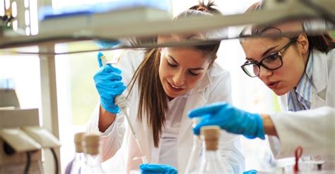 Types Of Animal Testing And How Alternative Models Can Be Used