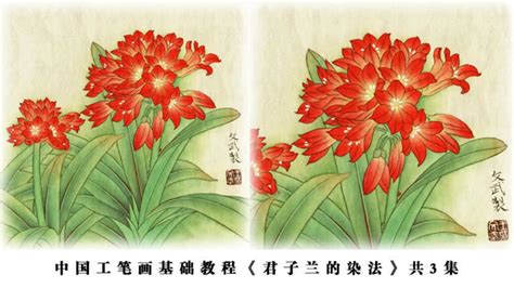 工笔画君子兰 君子兰简笔画 工笔画花 第5页 大山谷图库