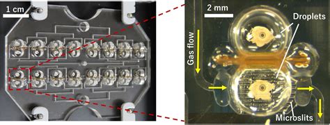 Giving Computers A Keen Sense Of Smell Researchers Create A Biohybrid