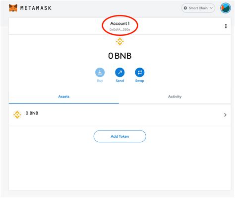 Coinscope Add Binance Smart Chain To The Metamask Wallet