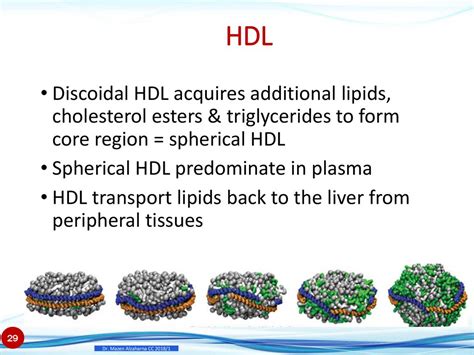 Lipids And Lipoproteins Part 1 Lecture Ppt Download