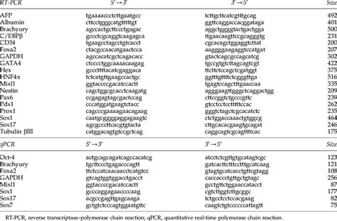 Reverse Transcriptase Polymerase Chain Reaction And Quantitative
