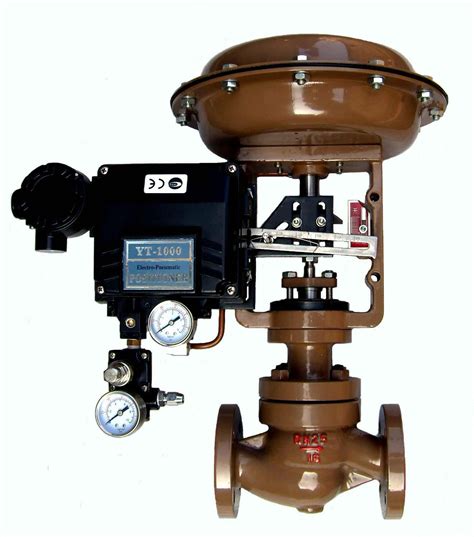 Zjhp C Ca