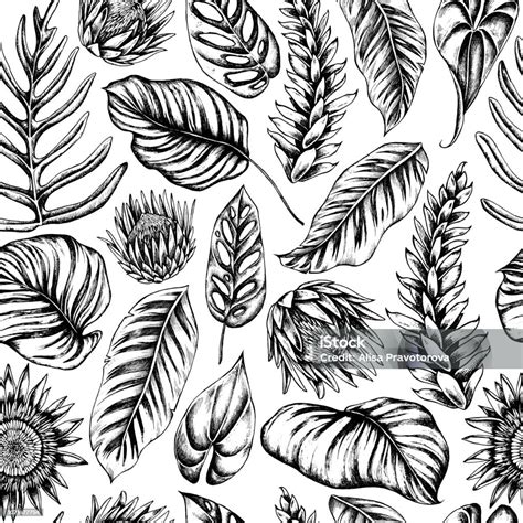 벡터 종 려 잎 및 Calathea의 완벽 한 패턴입니다 손으로 그린된 벡터 일러스트 레이 션 개화기에 대한 스톡 벡터 아트 및