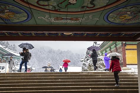 겨울 사찰 눈내린 풍경 유토이미지 상세페이지 베이직샵 21572452