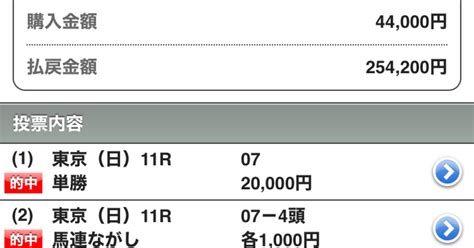 623日宝塚記念 京都11r リポストで無料｜スレイプニル競馬予想プログラム