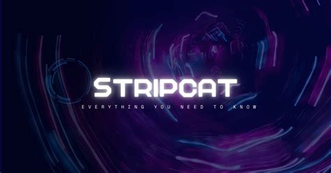 Stripcat Everything You Need To Know Stripchat