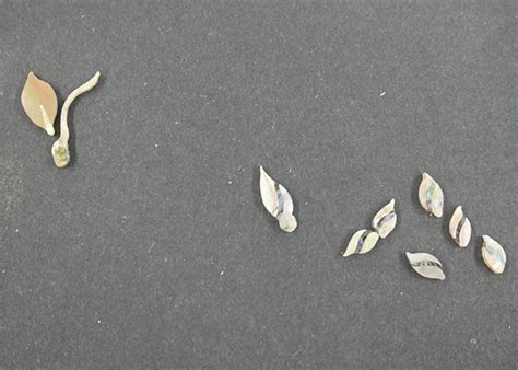 Mp Small Inlay Pieces Preston Thompson Guitars