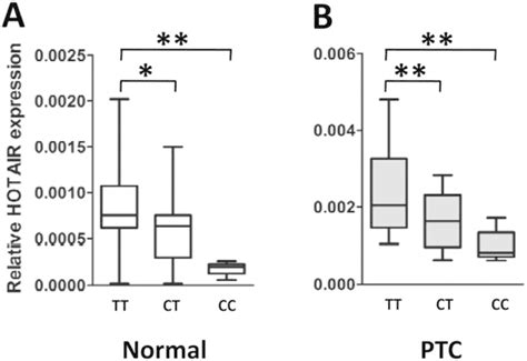 Hotair Rna Expression In Normal Thyroid Tissue Specimens And Ptc
