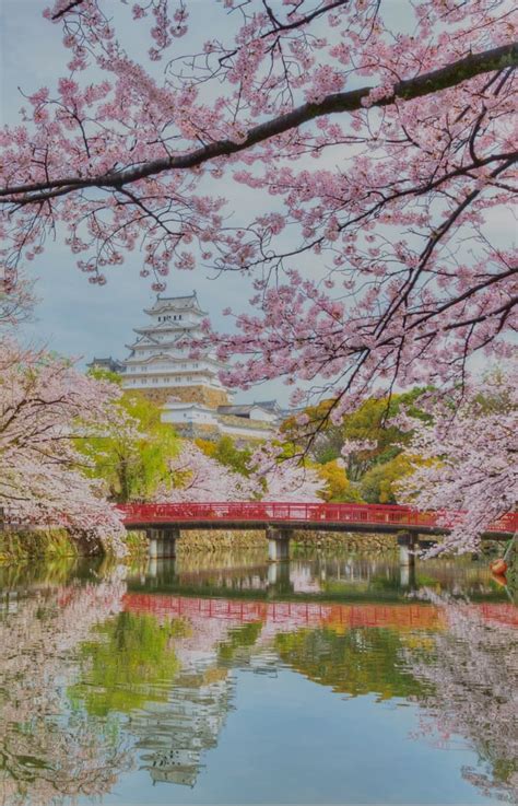 Visit Himeji Official Travel Guide