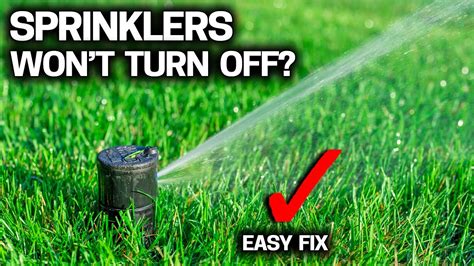 Underground Sprinklers Not Popping Up At Laurence Drake Blog