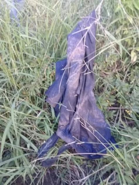 Un Hombre Iba A Cazar Un Rinoceronte Pero Fue Atacado Por Un Elefante Y Luego Devorado Por Una