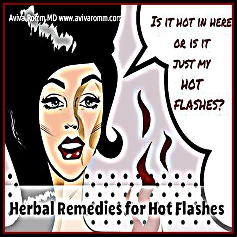 Herbal Remedies For Hot Flashes Natural Remedies For Menopause Herbal