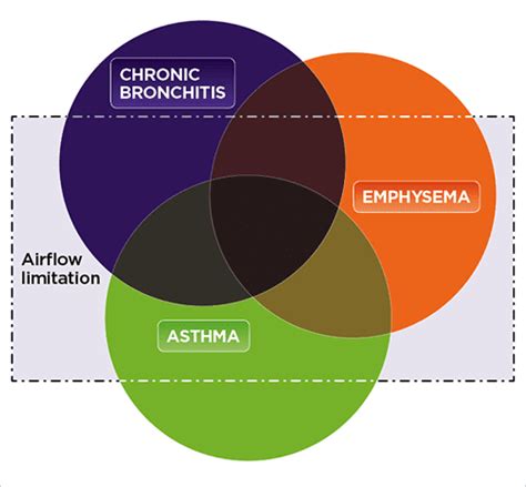 Defining The Asthma Copd Overlap Syndrome In A Copd Cohort Chest Article