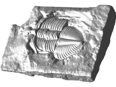 Free Cad Designs Files And 3d Models The Grabcad Community Library