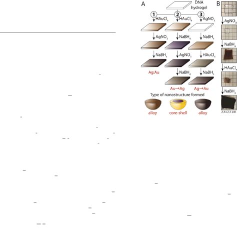 Fabrication Of Bimetallic Core Shell And Alloy Ag Au Nanoparticles On A Dna Template Pdf
