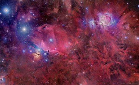 APOD November Orion In Gas Dust And Stars