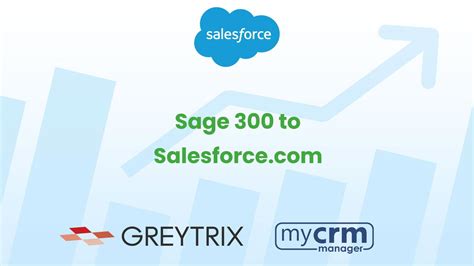 Gumu™ For Salesforce Sage 300 Integration My Crm Manager