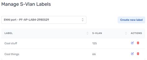 S Vlan Labels