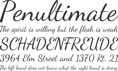 Dancing Script Ot Font Free By Impallari Type Font Squirrel