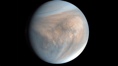 Vida en Venus qué significa el reciente hallazgo The New York Times