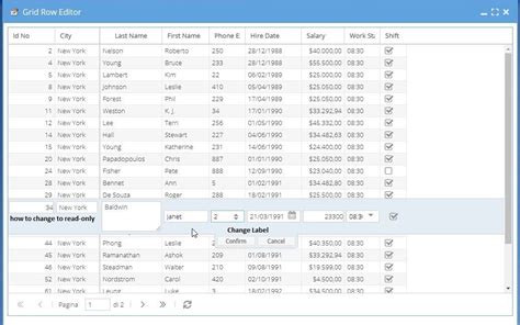 grid row edit only for some columns general unigui discussion forums
