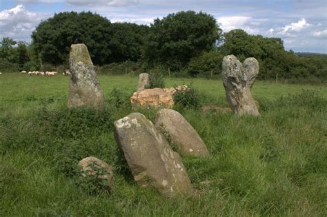 Robinstown Great Stone Circle Wexford Ireland Visions Of The Past