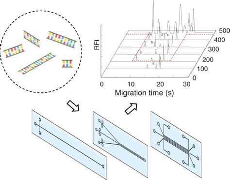 Mplab Xc8 Migration Issues And Limitations Honaxre