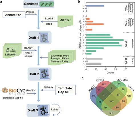 the l reuteri atcc pta 6475 genome scale metabolic reconstruction a