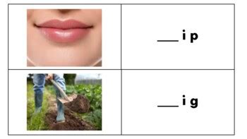 Beginning Sounds Sorting Cards By Carrie Puello TPT