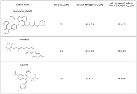 In Primer Extension Assays Three Independent Experiments Were Carried