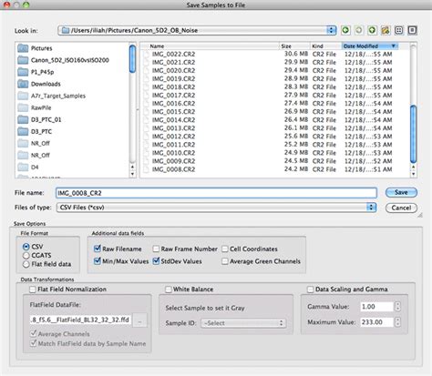 The Riddle Of The Intermediate ISO Setting RawDigger