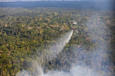 Queimadas Em 36 Municípios Deixam Amazonas Sufocado Por Fumaça Portal