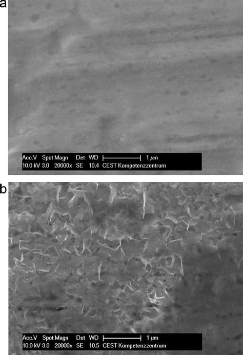 X Ray Microanalysis Of St Before And After 50 Min Polarization At J1