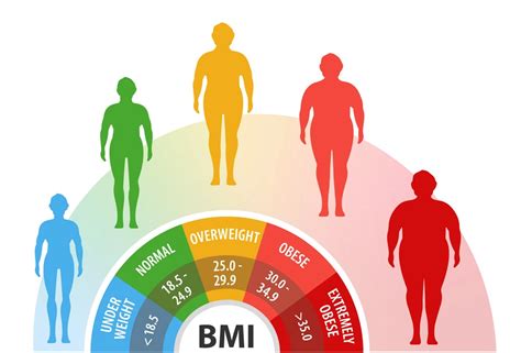 Bmi Demystified Understanding Body Mass Index And Its Significance