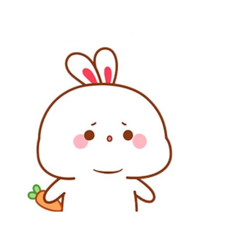 Cute Rabbit WhatsApp Stickers Stickers Cloud