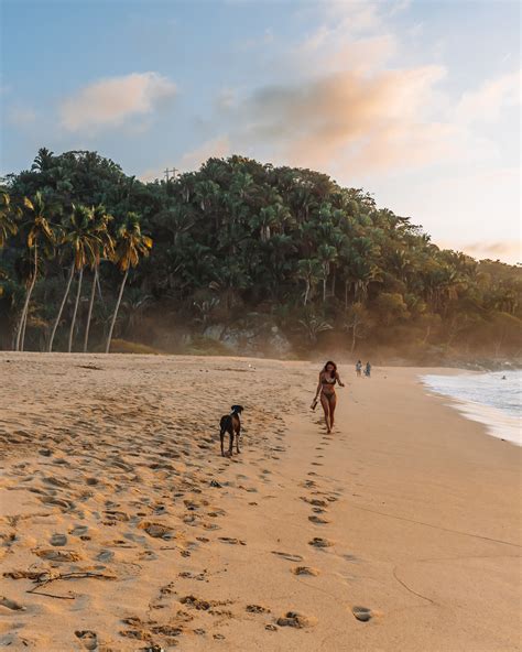 San Pancho Nayarit Discover The Hidden Gem Of Western Mexico San