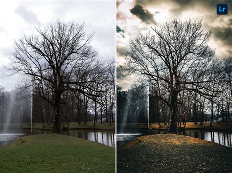 Elden Ring Edit Photoshop Lightroom