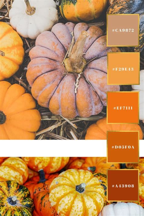 Color Palette Template For Artists Pumpkin Color Scheme