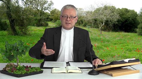 Clemens Pilar 14 Sonntag im Jahreskreis Lesejahr A Matthäus 11 25