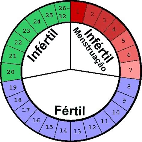 Tabelinha Periodo Fertil Ciclo Menstrual ENFERMAGEM 10