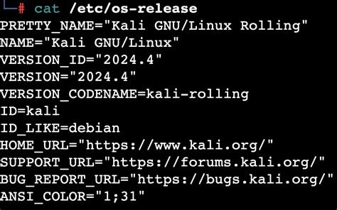 how to safely update kali linux