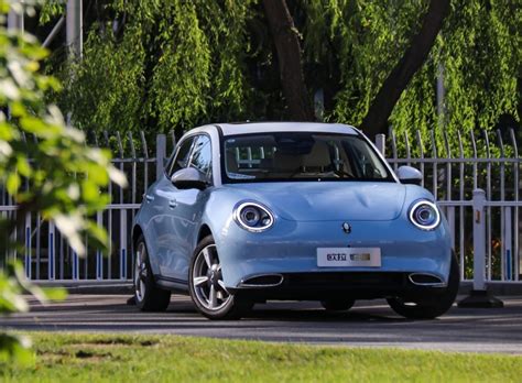 Gwm Enters The Compact Electric Dispute Autoindústria