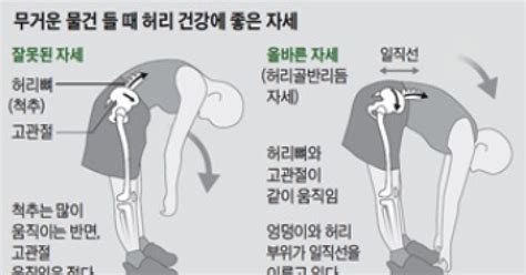 허리 부담없이 무거운 물건 드는 법