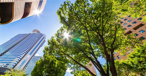 Energy And Infrastructure Kinectrics